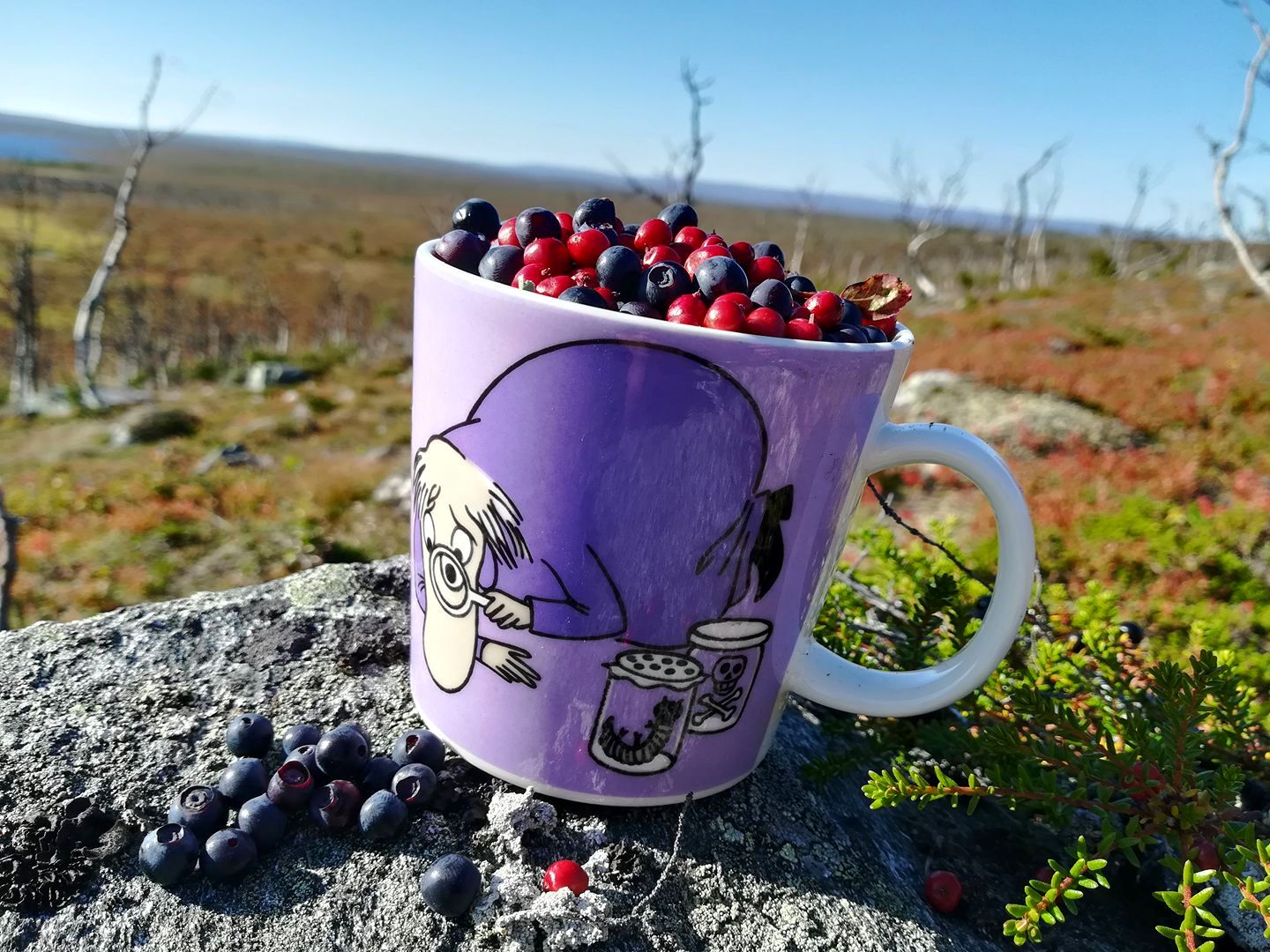 Moomin mug Hemulen - Moominmugs.com